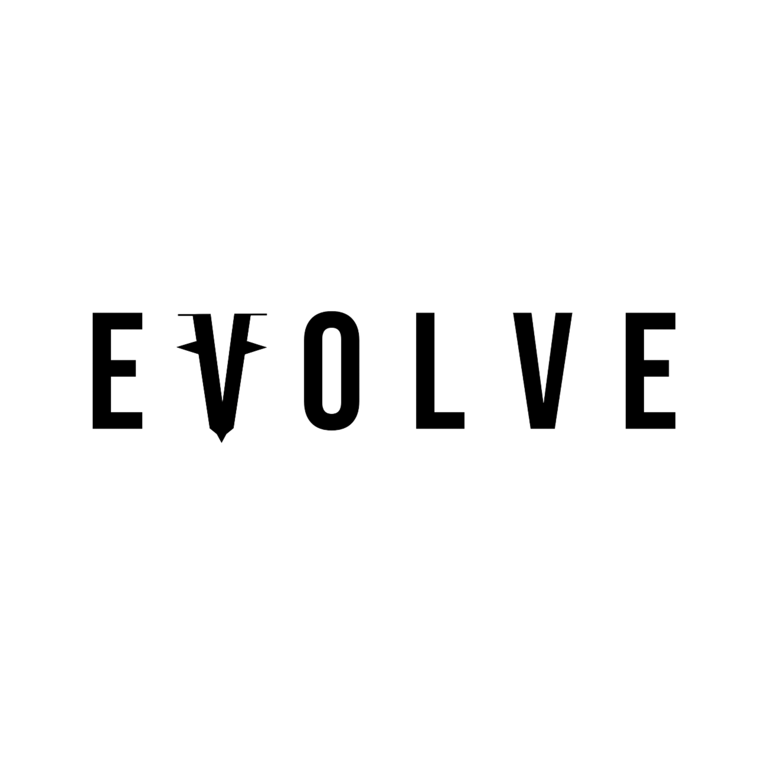 Partners – Evolve